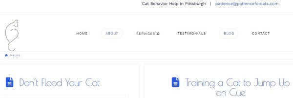 25 Top Cat Blogs Every Kitten Lover Should Read in 2025 - Catster