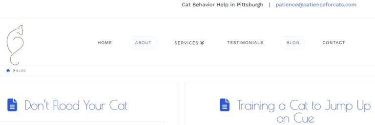 25 Top Cat Blogs Every Kitten Lover Should Read in 2025 - Catster