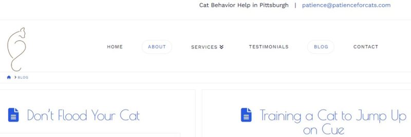 25 Top Cat Blogs Every Kitten Lover Should Read in 2025 - Catster