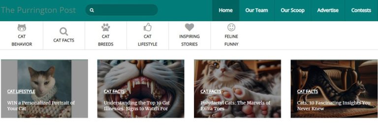 25 Top Cat Blogs Every Kitten Lover Should Read in 2024 - Catster