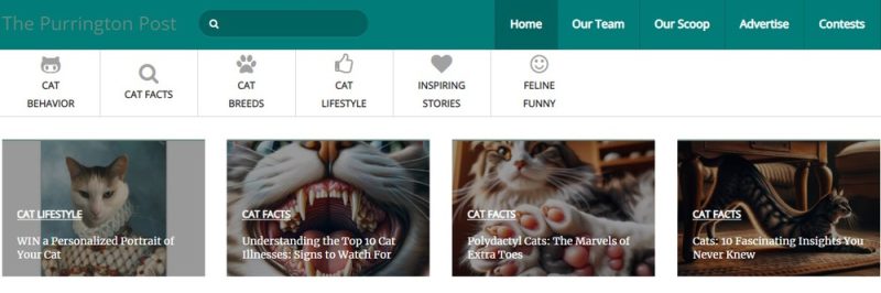 25 Top Cat Blogs Every Kitten Lover Should Read in 2024 - Catster