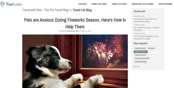 25 Top Cat Blogs Every Kitten Lover Should Read in 2025 - Catster