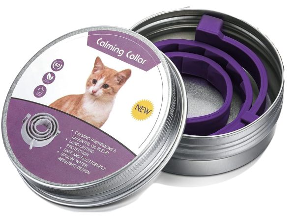 7 Best Calming Collars for Cats in 2025 - Reviews & Top Picks - Catster