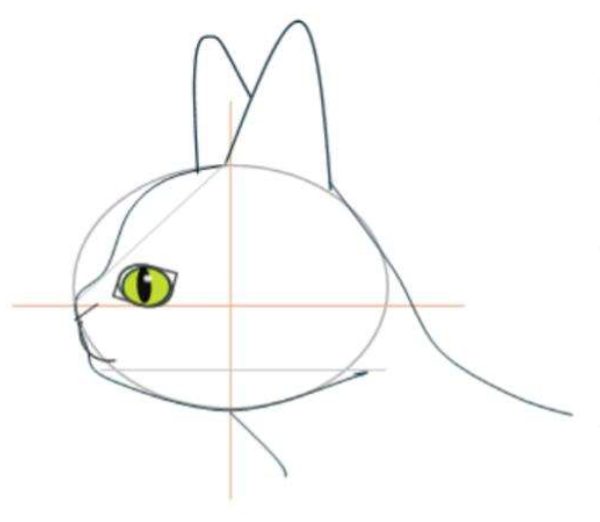 How to Draw Cats: Our Vet-Approved Step-by-Step Guide - Catster