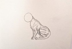 How to Draw Cats: Our Vet-Approved Step-by-Step Guide - Catster