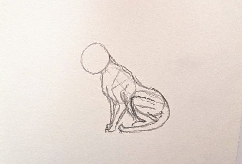 How to Draw Cats: Our Vet-Approved Step-by-Step Guide - Catster