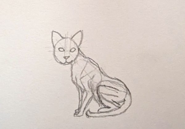 How to Draw Cats: Our Vet-Approved Step-by-Step Guide - Catster