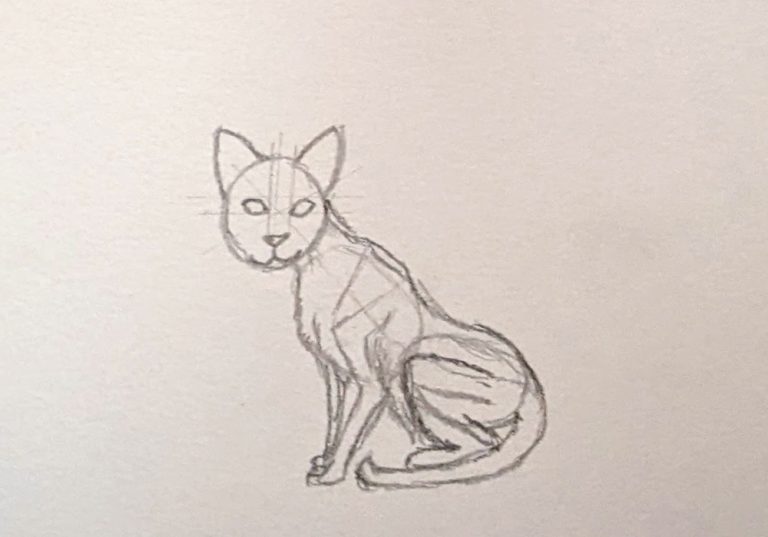 How to Draw Cats: Our Vet-Approved Step-by-Step Guide - Catster