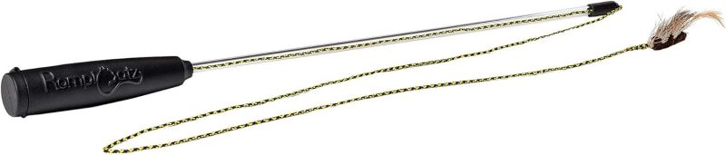 Rompicatz Adjustable String Wand Toy Review 2025: Pros, Cons & Verdict ...