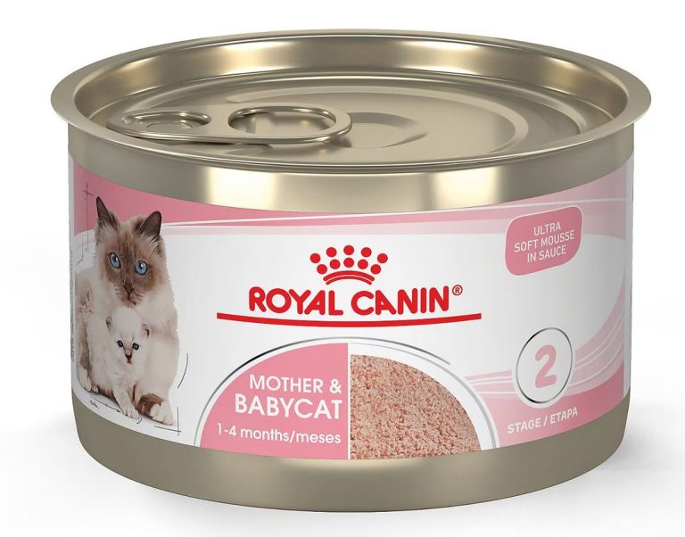 10 Best Wet, Soft & Canned Kitten Foods in 2026 - Reviews & Top Picks ...