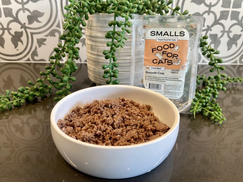 10 Best Cat Foods for Senior Cats in 2026 - Reviews & Top Picks - Catster
