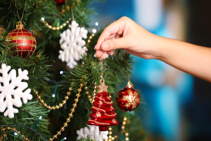 Do Cats Eat Christmas Trees? Vet-Reviewed Risks & Tips - Catster