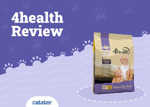 4 Health Cat Food Review of 2026: Recalls, Pros & Cons - Catster