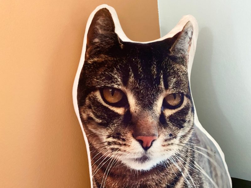 All About Vibe Custom Shaped Pet Pillow Review 2025: A Detailed Look ...