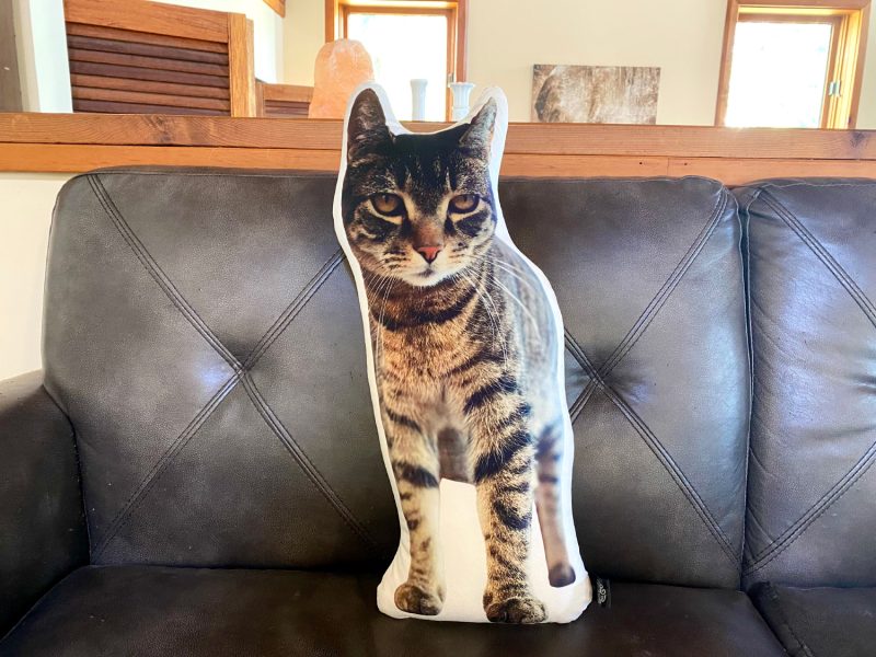 All About Vibe Custom Shaped Pet Pillow Review 2026: A Detailed Look ...