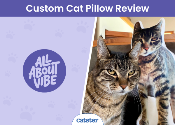 All About Vibe Custom Shaped Pet Pillow Review 2026: A Detailed Look ...