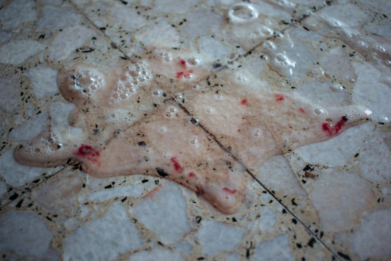 Why Is My Cat Throwing Up Pink Liquid? Our Vet Explains 10 Reasons ...