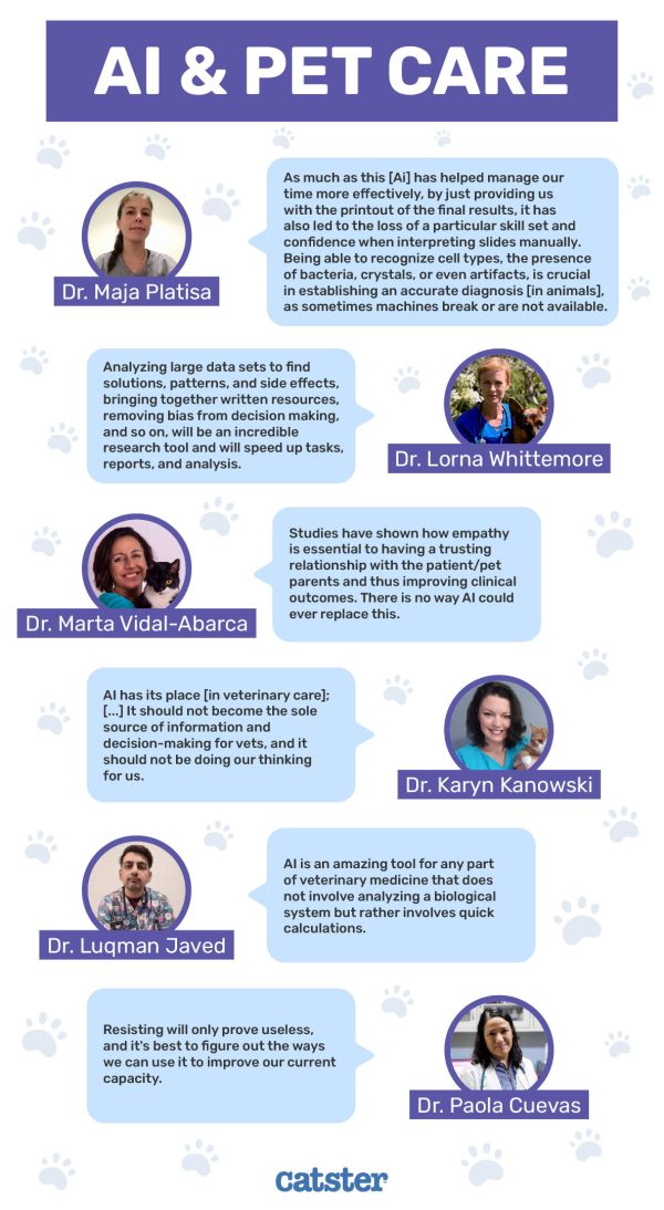 AI & Pet Care According to Vets - Catster