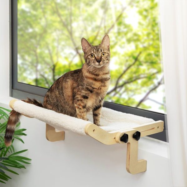 12 Types of Cat Accessories for Your Fabulous Feline - Catster