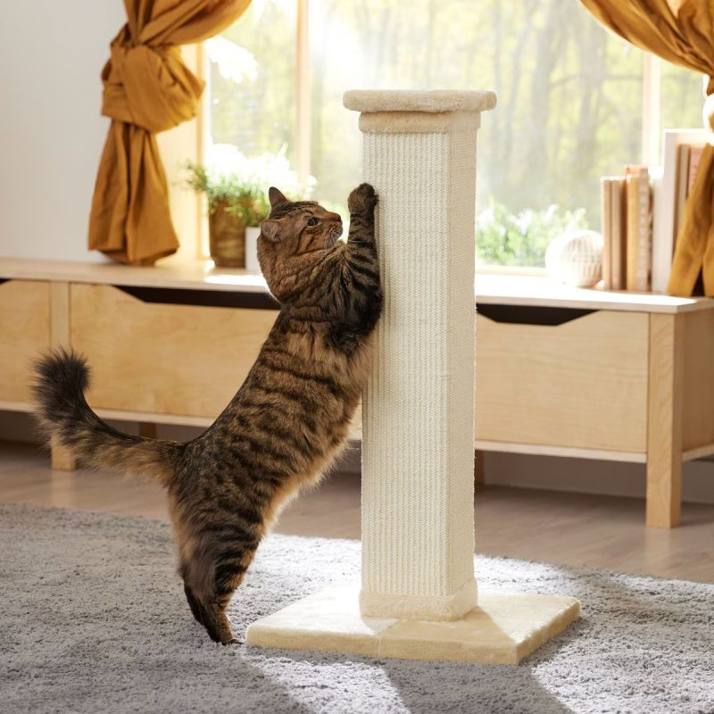 11 Best Tall Cat Scratching Posts In 2025 – Reviews & Top Picks - Catster