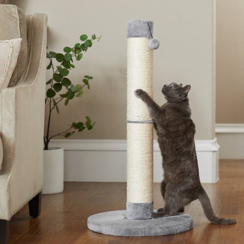 11 Best Tall Cat Scratching Posts In 2025 – Reviews & Top Picks - Catster