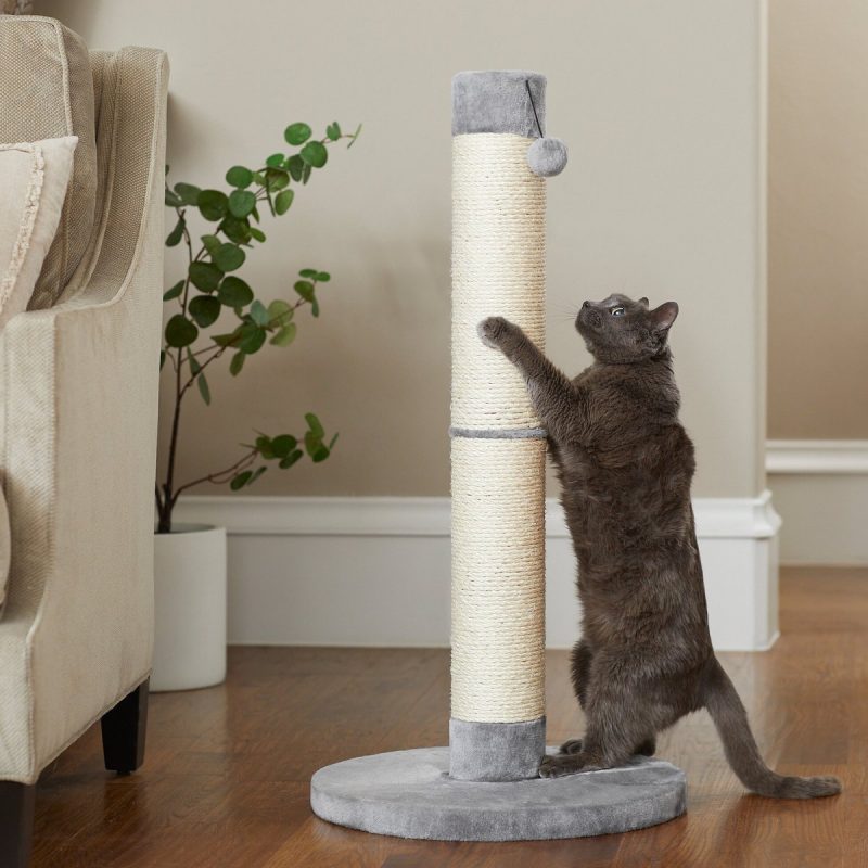 11 Best Tall Cat Scratching Posts In 2026 – Reviews & Top Picks - Catster