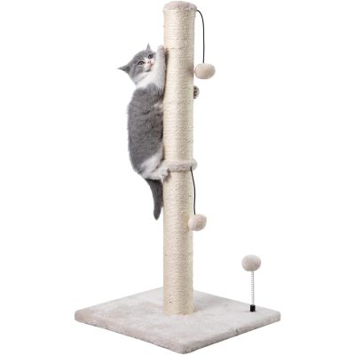 11 Best Tall Cat Scratching Posts In 2025 – Reviews & Top Picks - Catster