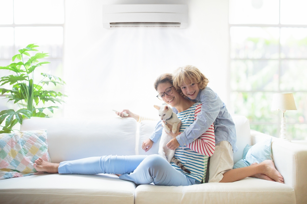 How to Cool a Cat Down Fast: 10 Vet-Verified Ways to Avoid Heat Stroke ...