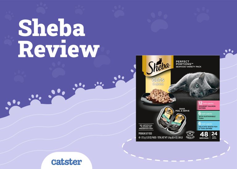 Sheba Cat Food Review of 2026: Recalls, Pros & Cons - Catster