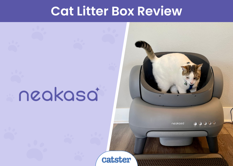 Neakasa M1 Open Top Self-Cleaning Litter Box Review 2026: A Detailed ...