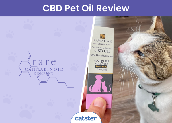 Rare Cannabinoid Company Hawaiian Choice Pet CBD Oil Review 2026: A ...
