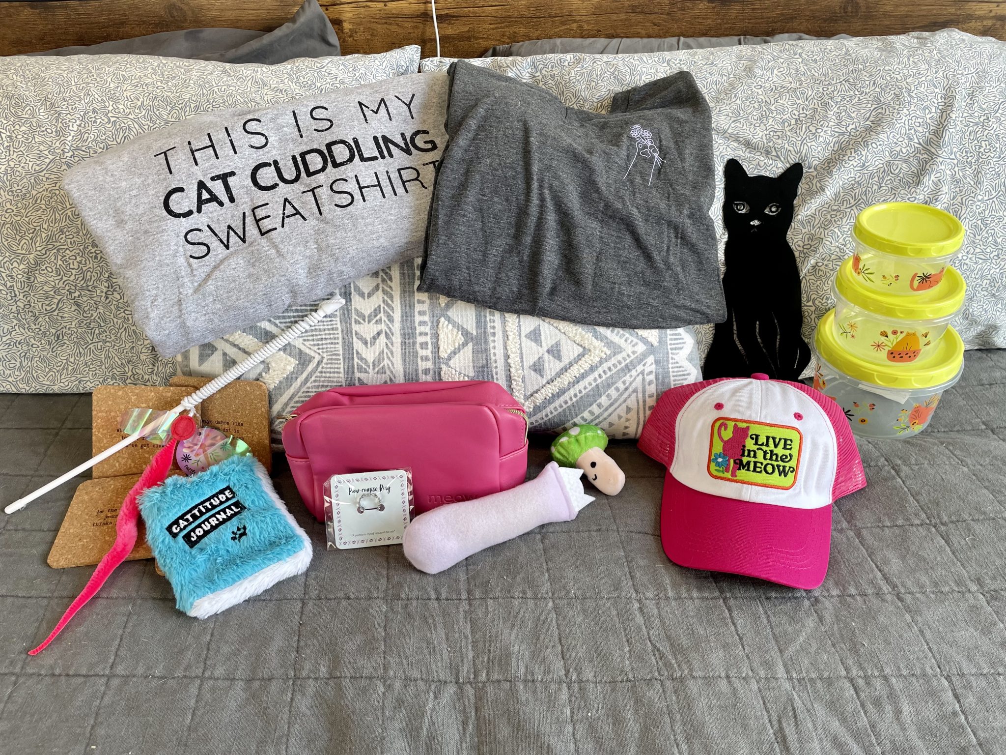 10 Best Cat Subscription Boxes in 2025 - Reviews & Top Picks - Catster