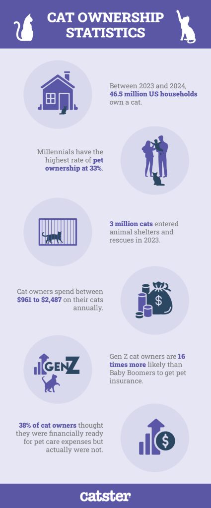 16 Cat Ownership Statistics (2025 Update) - Catster