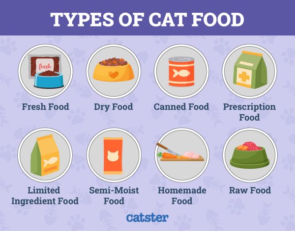 8 Types of Cat Food: Vet-Reviewed Nutrition Facts & Advice - Catster