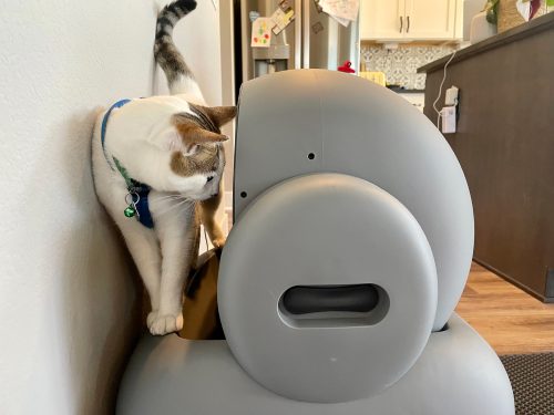 Neakasa M1 Open Top Self-Cleaning Litter Box Review 2026: A Detailed ...