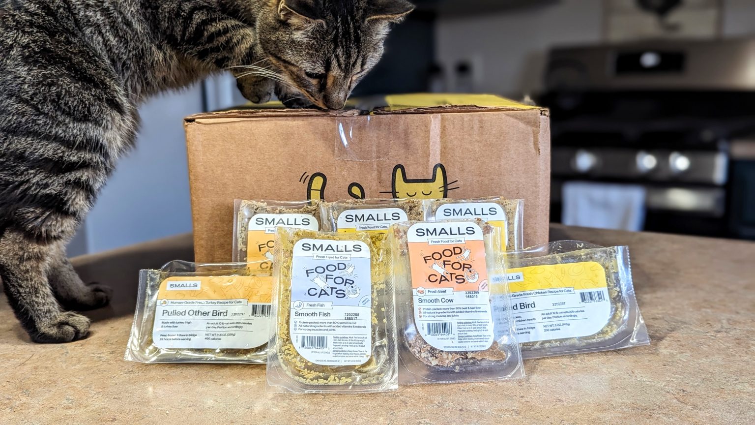 10 Best Cat Subscription Boxes in 2025 - Reviews & Top Picks - Catster