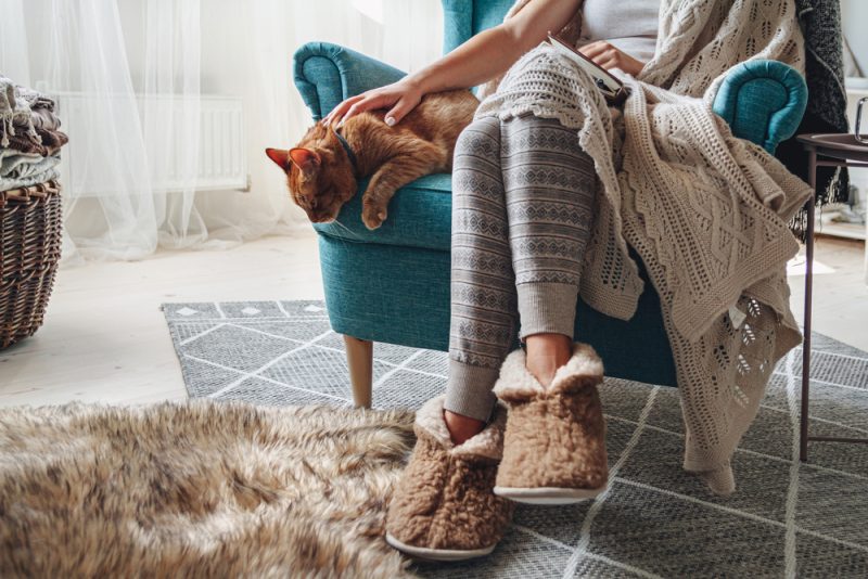 Why Is My Cat Clingy When I'm On My Period? Vet-Verified Facts & Info ...