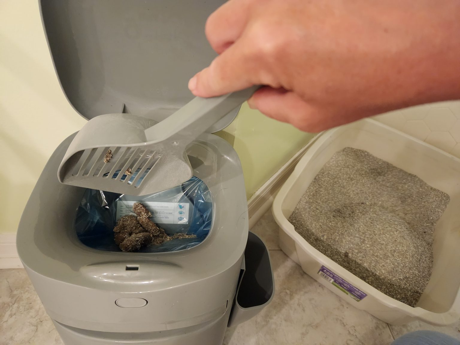 Litter Genie Easy Roll Pail Review 2025: A Detailed Look - Catster