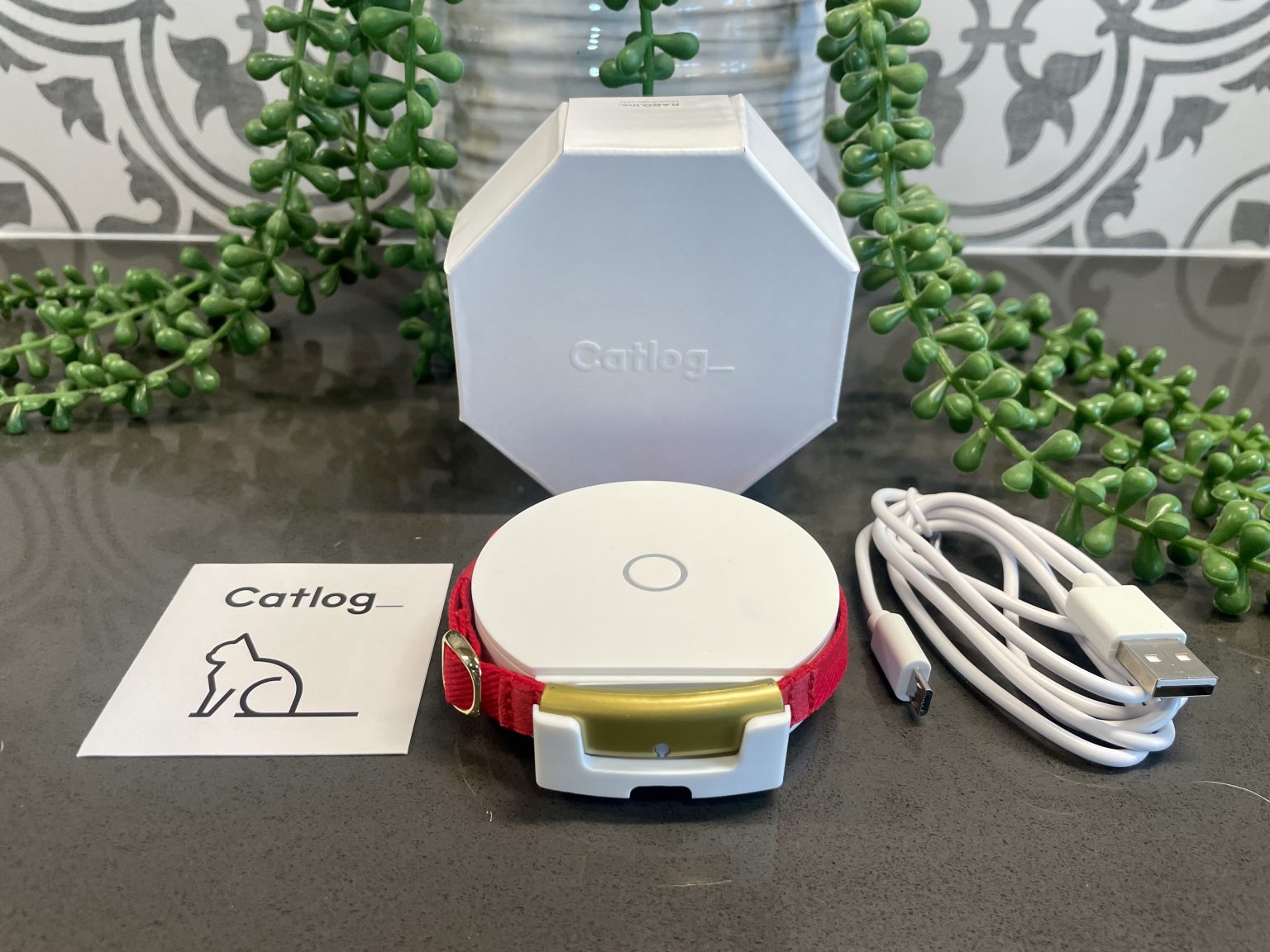 Catlog Smart Cat Collar Review 2026: A Detailed Look - Catster