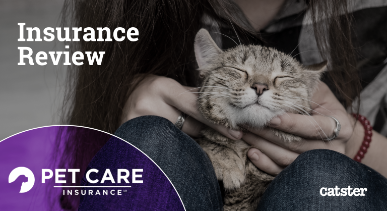 Pet Care Insurance Review 2026: Pros, Cons & Verdict - Catster