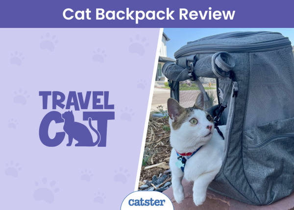 Travel Cat "The Navigator" Convertible Cat Backpack Review 2025: A ...