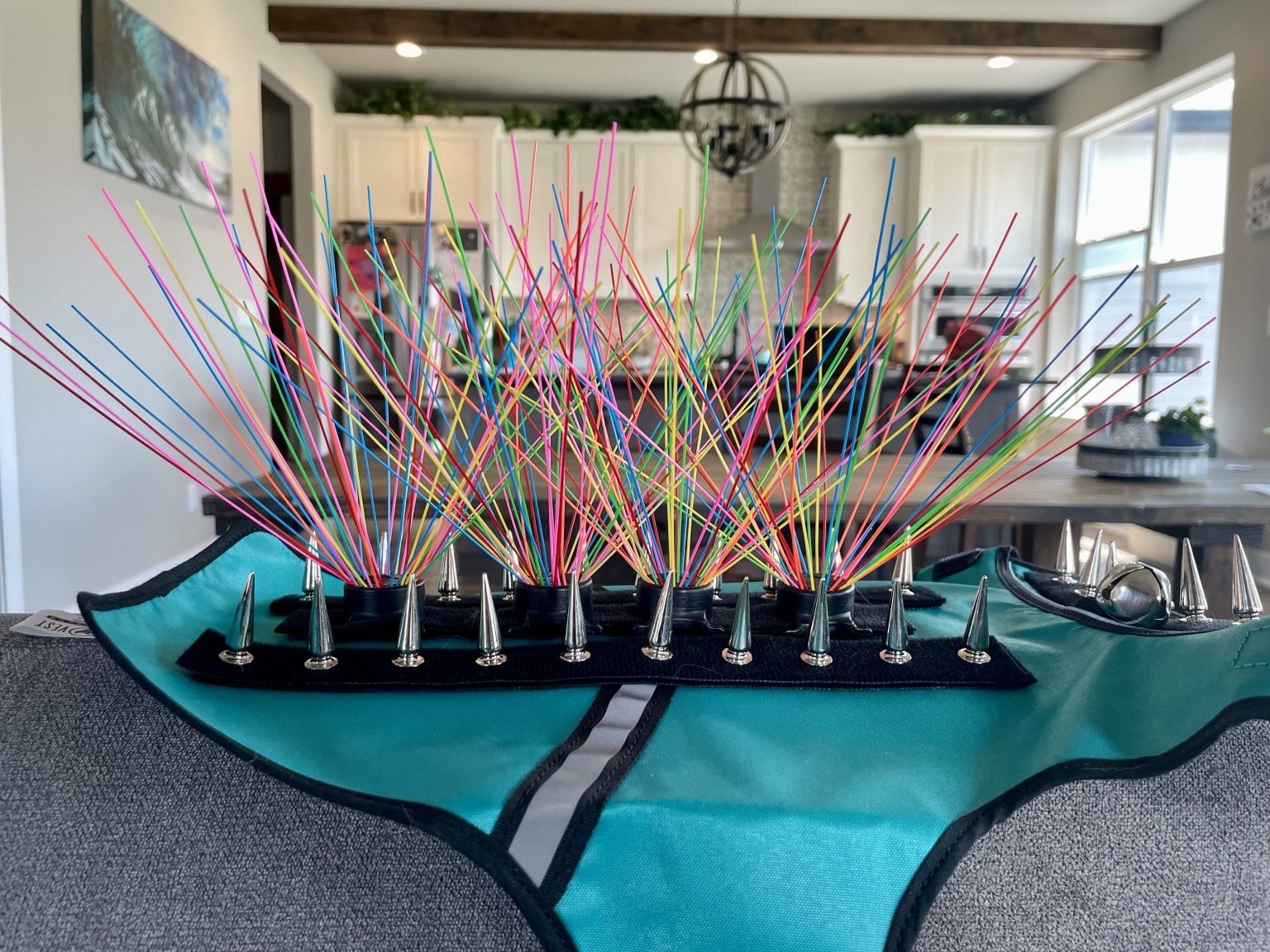 CoyoteVest Pet Body Armor Review 2026: A Detailed Look - Catster