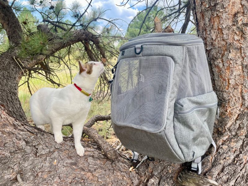 Travel Cat "The Navigator" Convertible Cat Backpack Review 2025: A ...