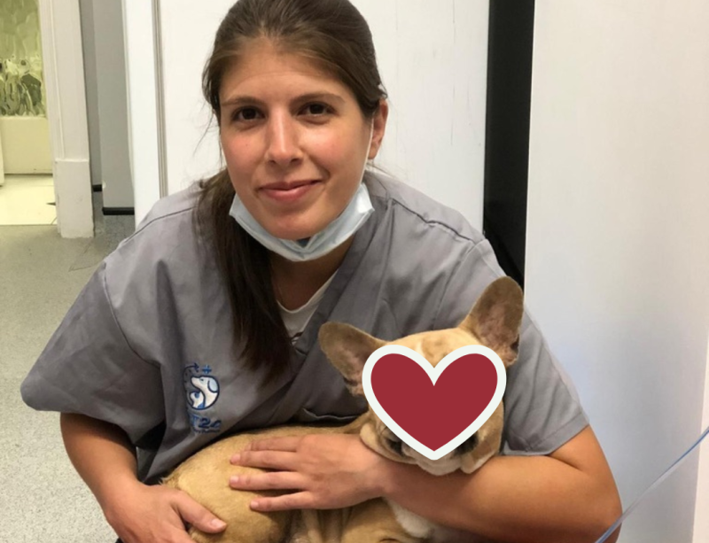 New Era Veterinary Hospital: Heroes of the Pet World - Catster