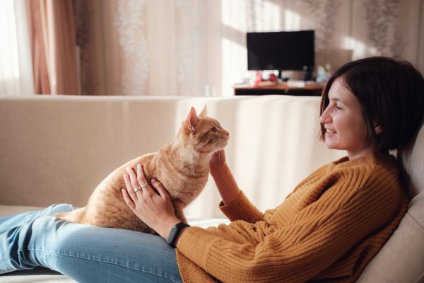 Do Cats Think Humans Are Cute? Exploring Feline Social Perception - Catster