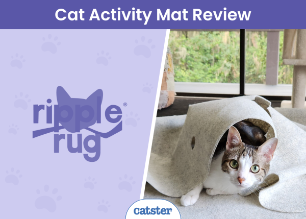 Ripple Rug for Cats Review 2025: A Detailed Look - Catster
