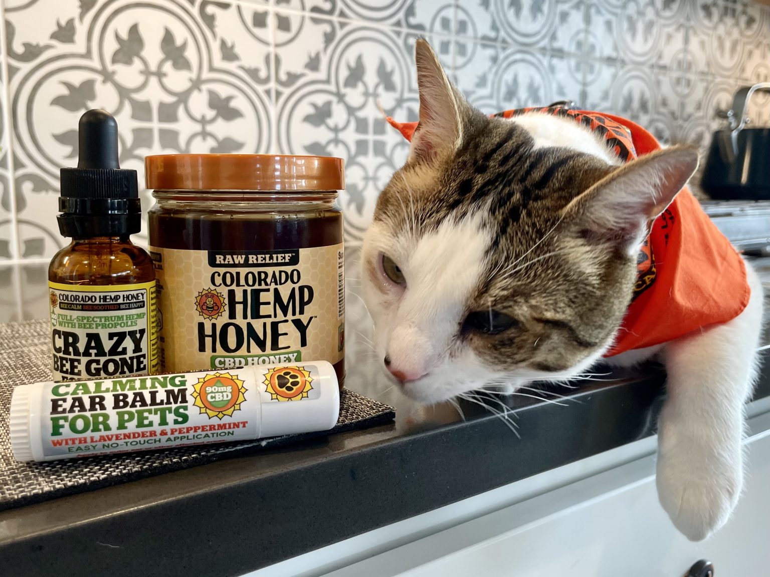 Colorado Hemp Honey Review 2026: A Detailed Look - Catster