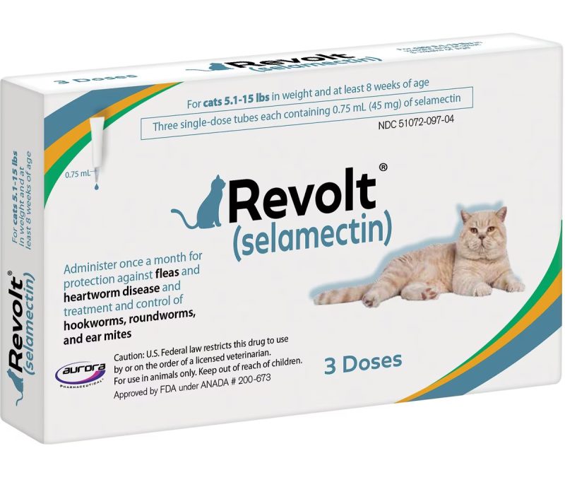 9 Best Cat Dewormers in 2024 - Reviews & Top Picks - Catster