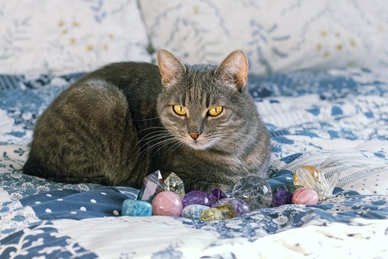 12 Healing Crystals for Cats: A Holistic Guide - Catster
