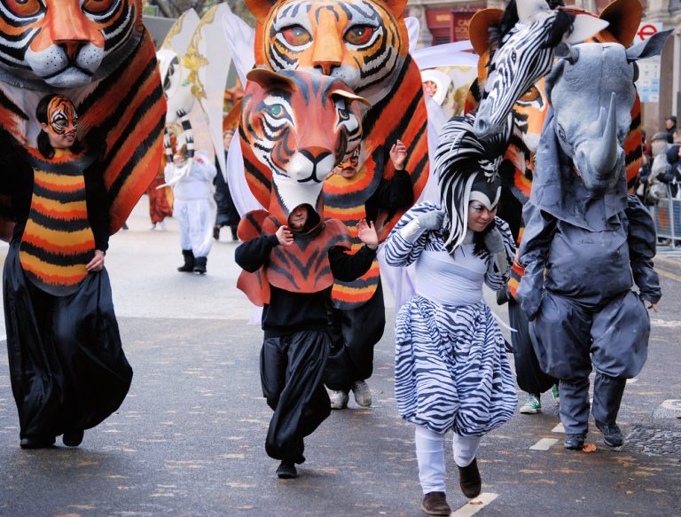 Kattenstoet (The Belgian Cat Festival) : Origins & Celebration Facts ...